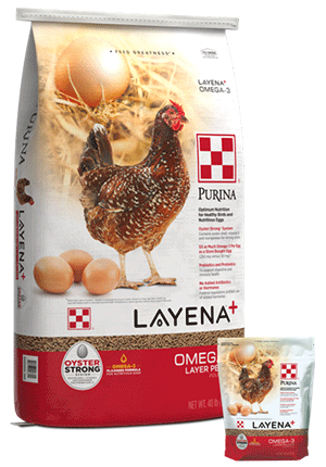Purina® Layena® Plus Omega-3 – Maine Horse and Rider