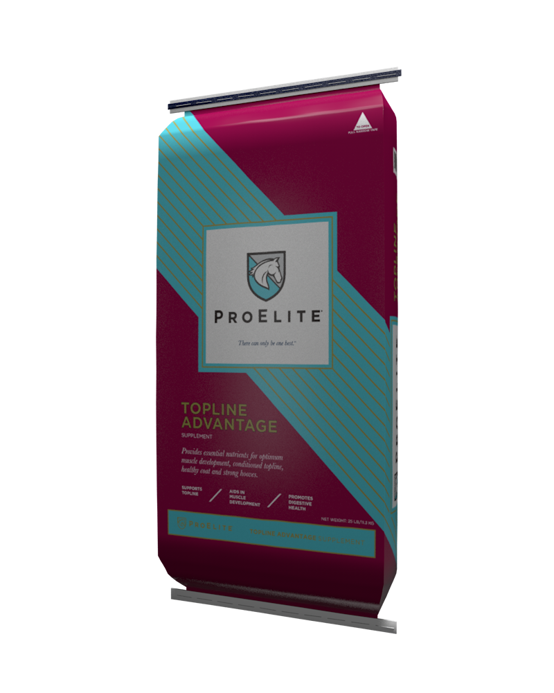 ProElite Topline Advantage – Maine Horse and Rider